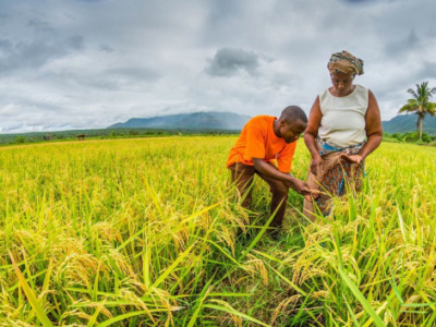 Agriculture